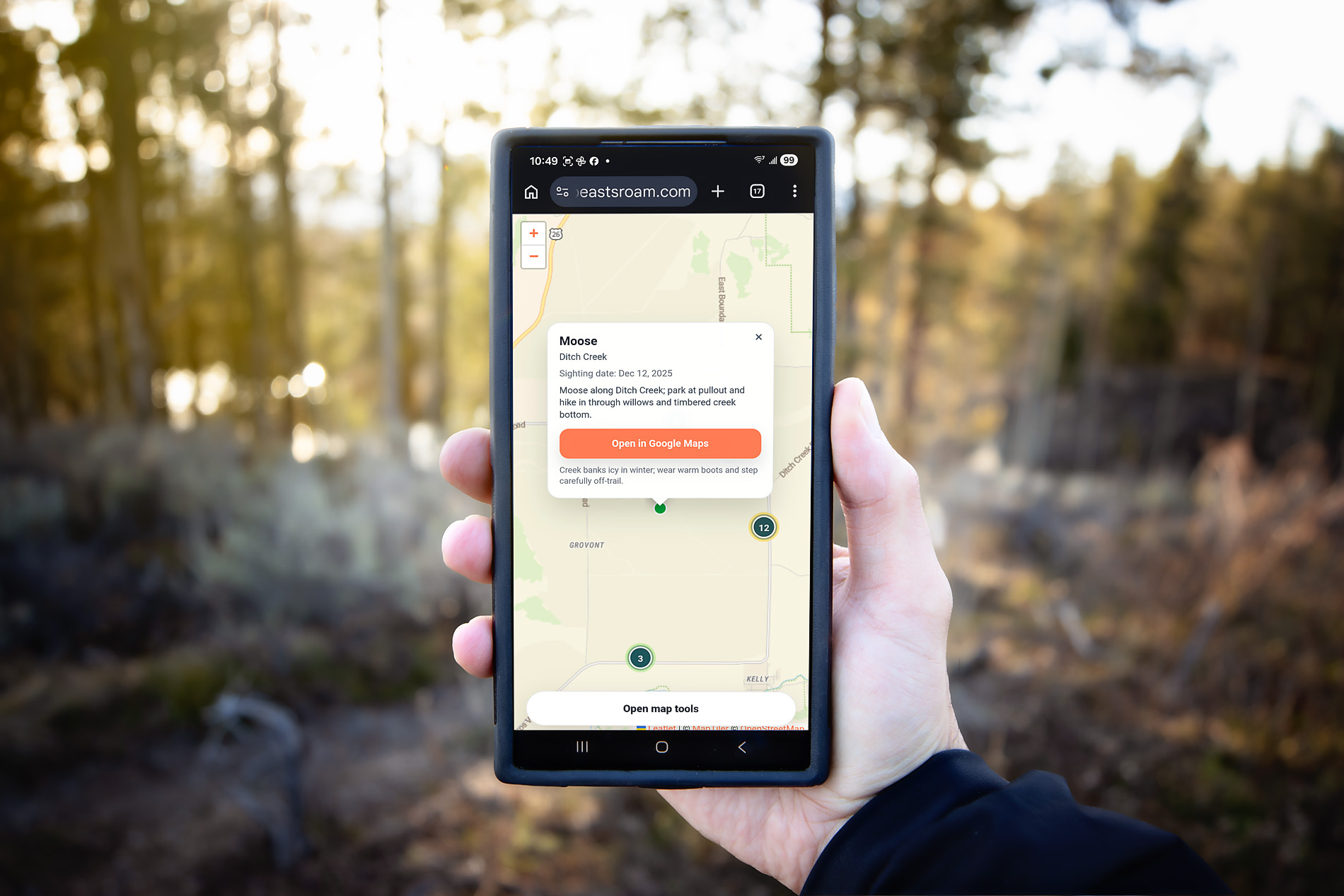 Plan Wildlife Viewing in Yellowstone & Grand Teton | Wildlife Map ...